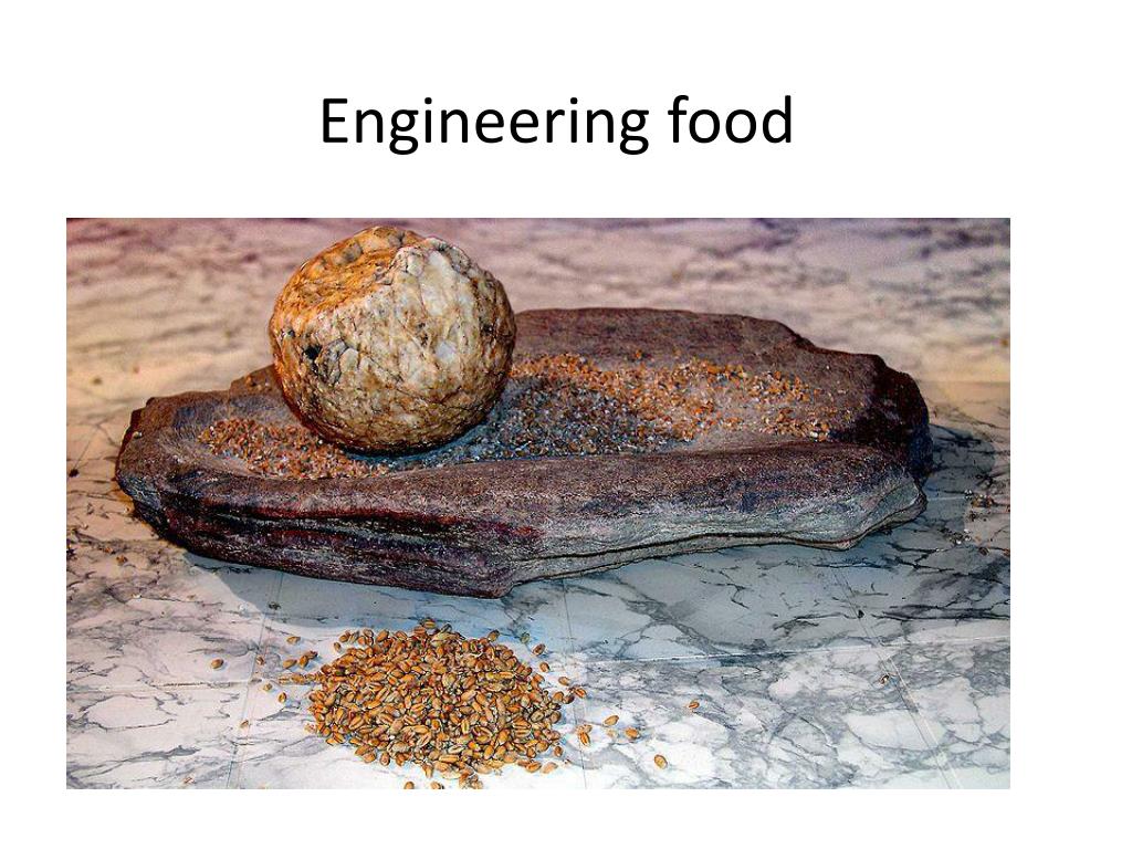 PPT - Engineering food PowerPoint Presentation, free download - ID:2237466