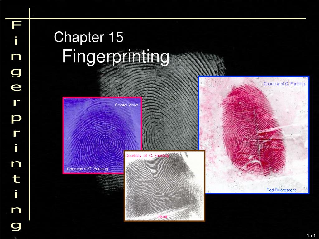 PPT - Fingerprinting PowerPoint Presentation, free download - ID:2238056