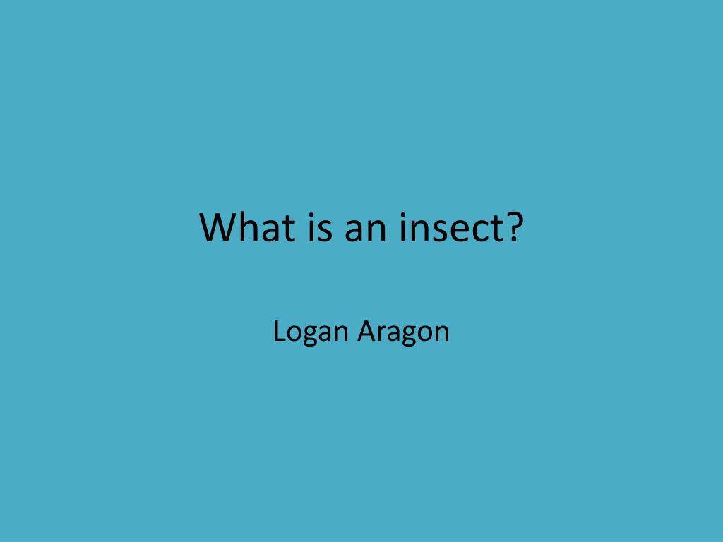 PPT - What is an insect? PowerPoint Presentation, free download - ID ...