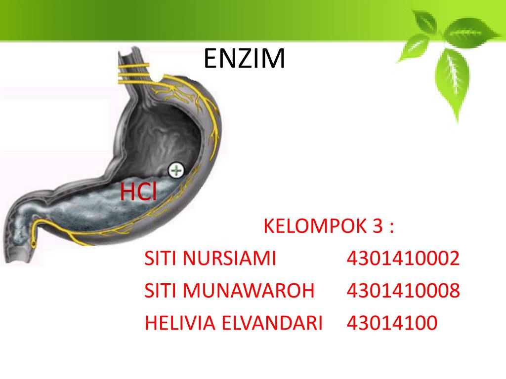 PPT - ENZIM PowerPoint Presentation, free download - ID:2239604