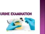 PPT - Urine analysis PowerPoint Presentation, free download - ID:632788