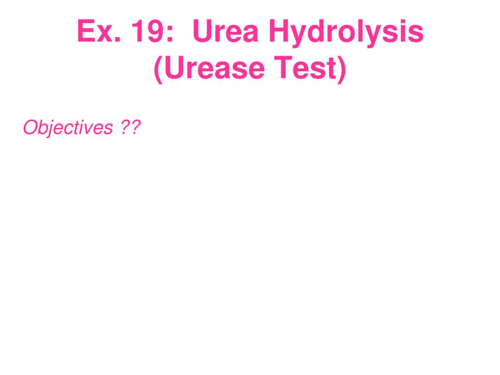 PPT - Ex. 19: Urea Hydrolysis ( Urease Test) PowerPoint Presentation ...