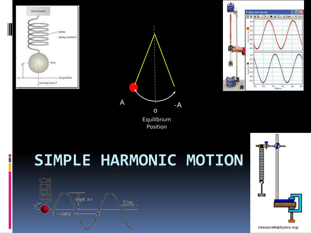 PPT - Understanding Simple Harmonic Motion and Hooke’s Law: Key ...