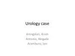 PPT - Urology PowerPoint Presentation, free download - ID:1649237