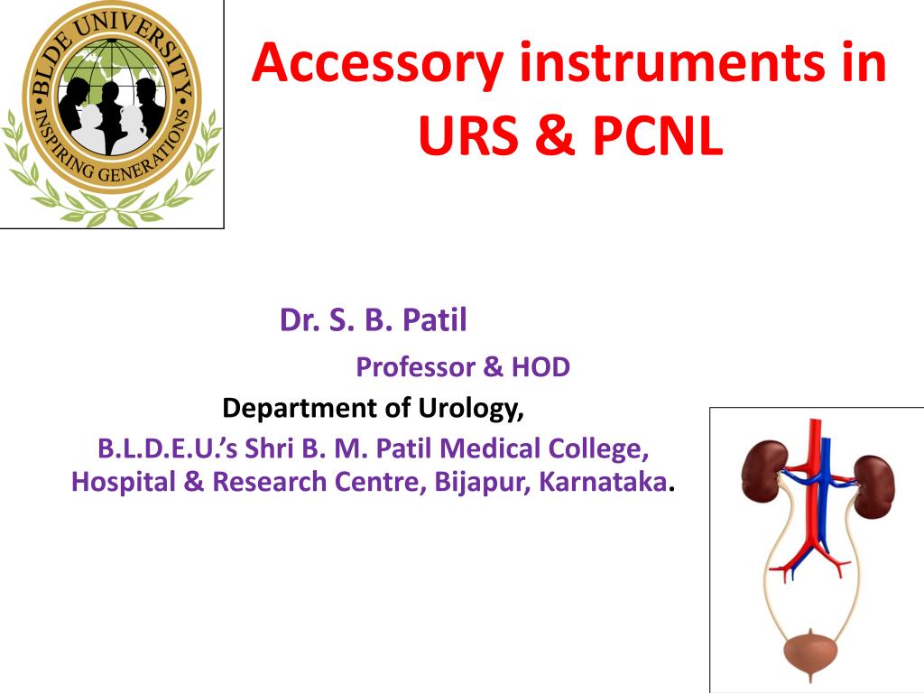 PPT - Accessory instruments in URS & PCNL PowerPoint Presentation, free ...