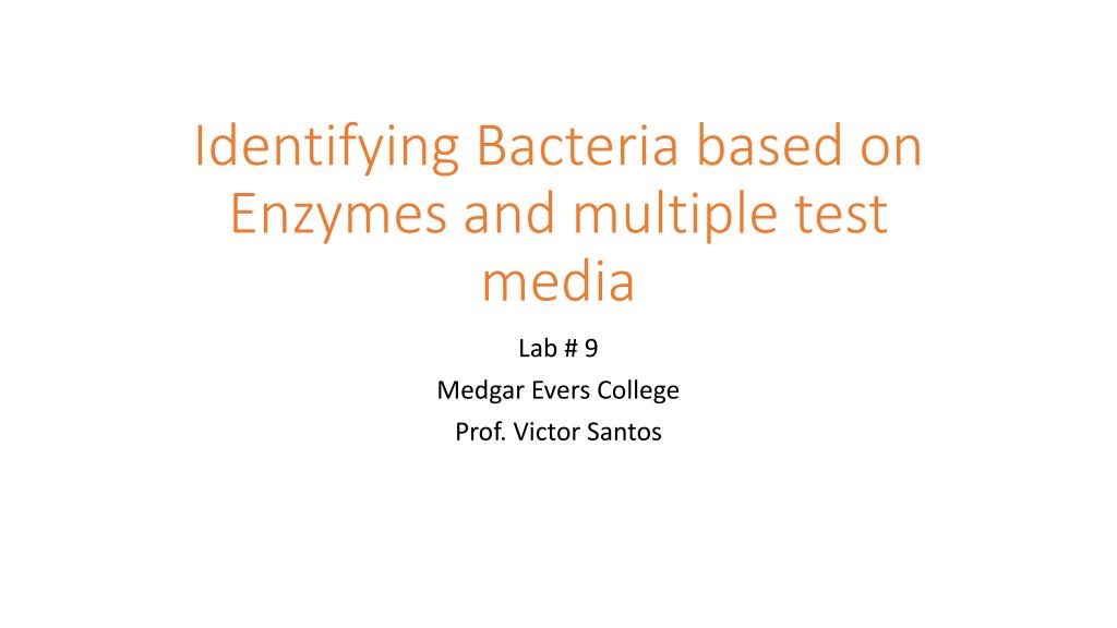 PPT - Identifying Bacteria based on Enzymes and multiple test media ...