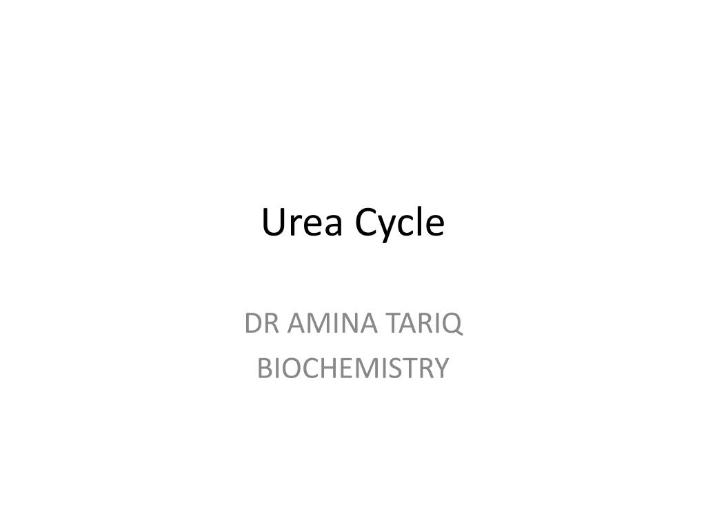 PPT - Urea Cycle PowerPoint Presentation, free download - ID:2240773