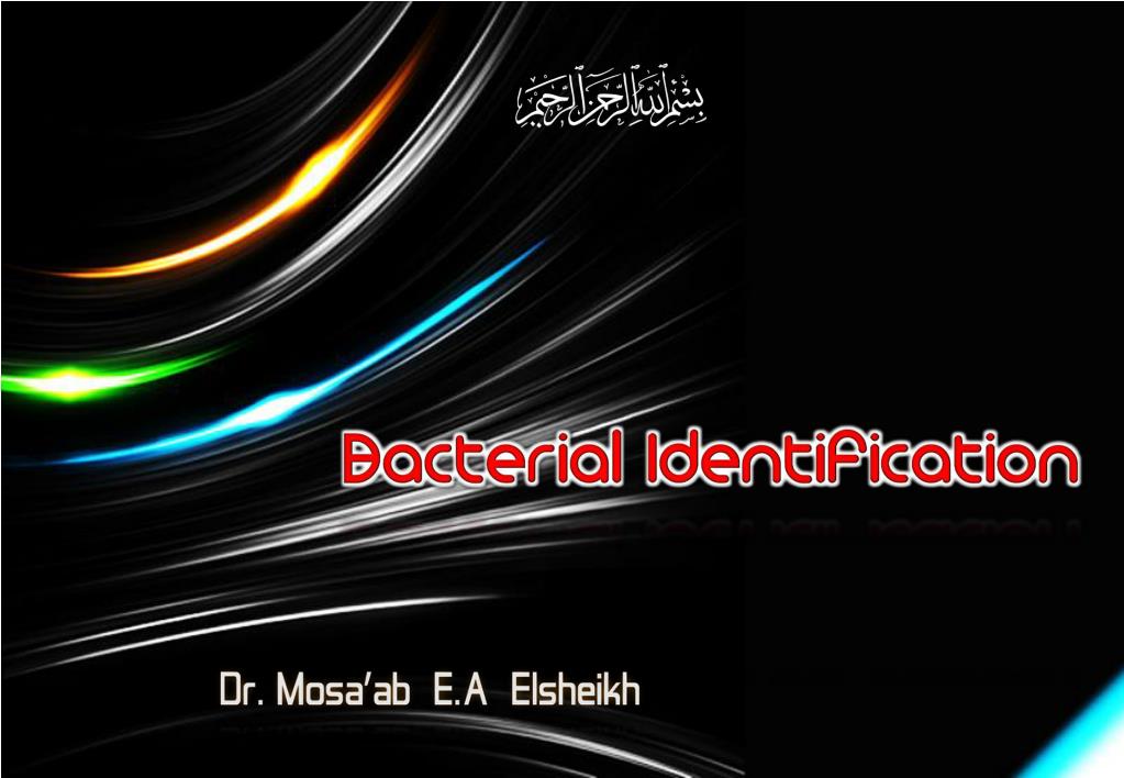 PPT - Bacteriological laboratory Diagnosis PowerPoint Presentation ...