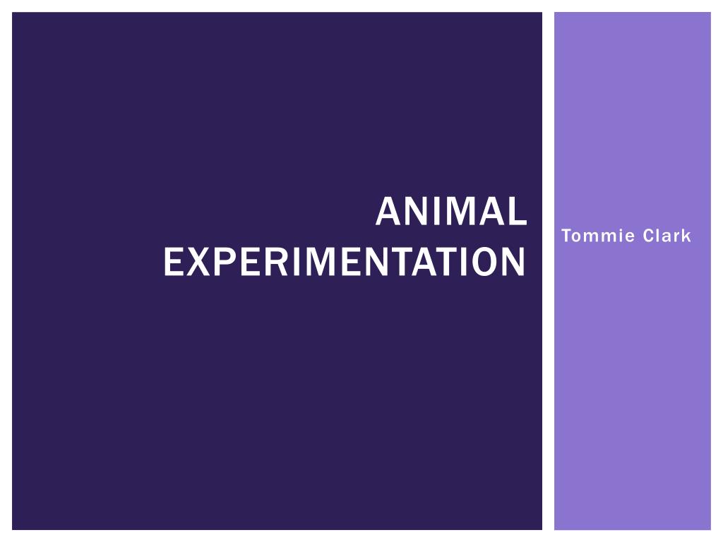 PPT - Animal Experimentation PowerPoint Presentation, free download ...