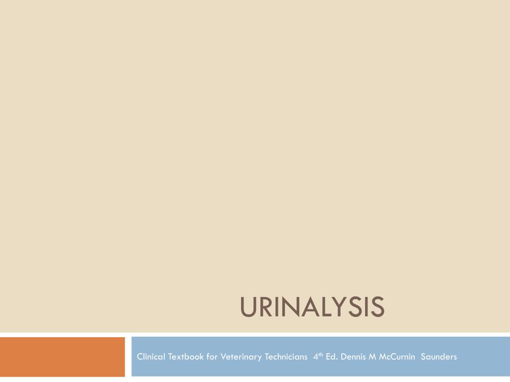 PPT - URINALYSIS PowerPoint Presentation, free download - ID:2240987