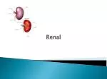 PPT - Renal Diet PowerPoint Presentation, free download - ID:457964