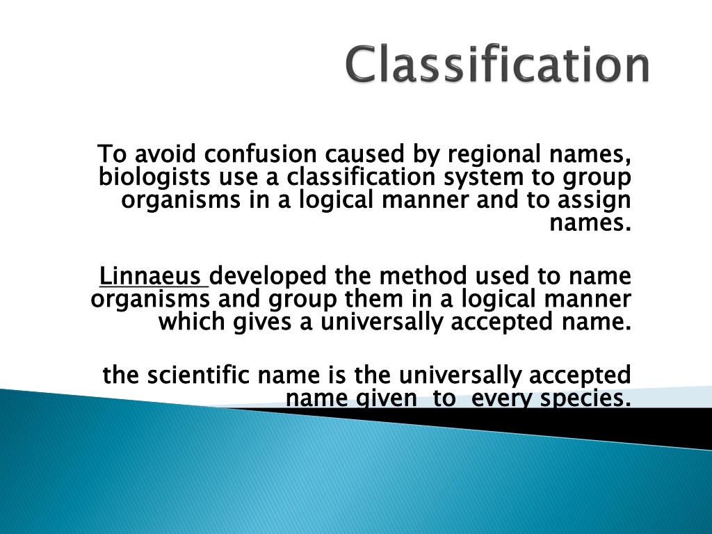 PPT - Classification PowerPoint Presentation, free download - ID:2241801