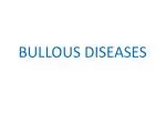 PPT - ULCERATIVE, VESICULAR, AND BULLOUS LESIONS lecture 2 PowerPoint ...