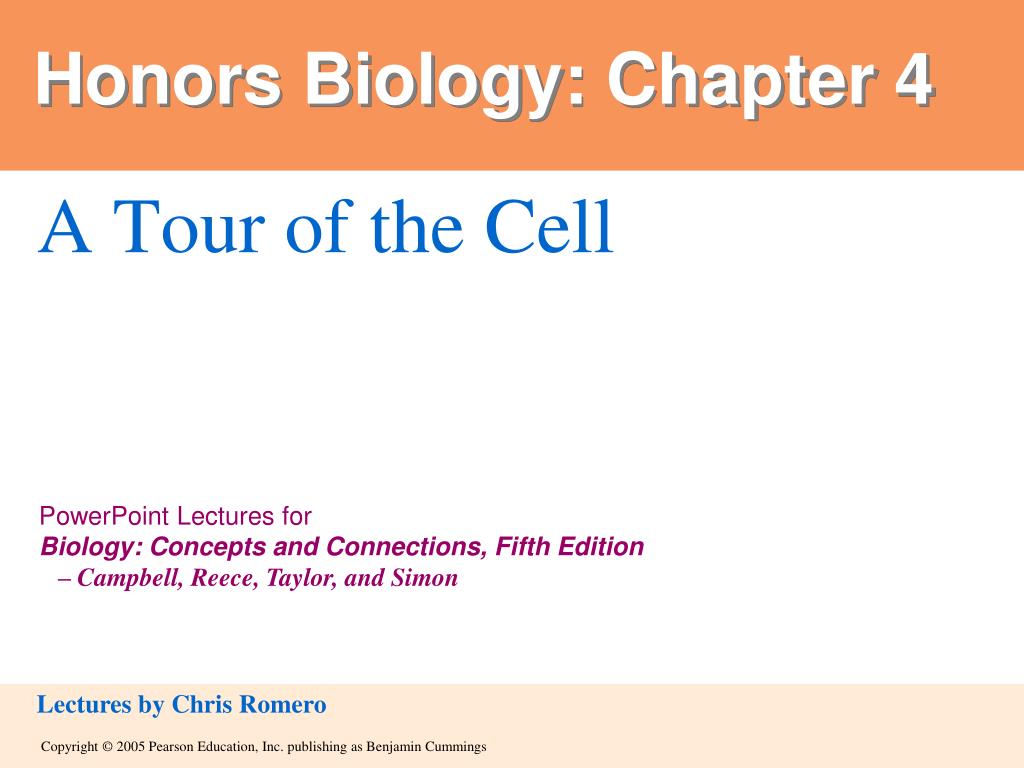 PPT - Honors Biology: Chapter 4 PowerPoint Presentation, free download ...