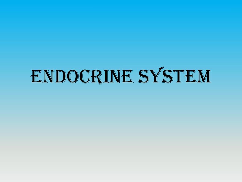 PPT - Endocrine System PowerPoint Presentation, free download - ID:2242630