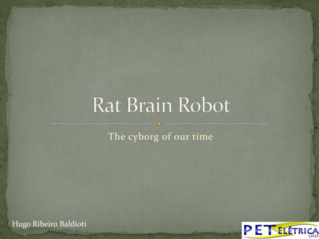 PPT - Rat Brain Robot PowerPoint Presentation, free download - ID:2242720
