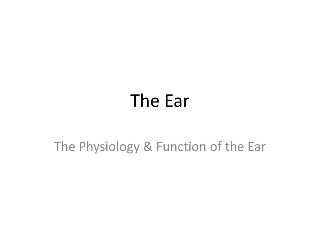 PPT - The Ear PowerPoint Presentation, free download - ID:2242894