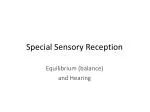PPT - Special needs sensory storytime PowerPoint Presentation, free ...