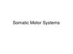 PPT - Introduction to the Motor Systems PowerPoint Presentation, free ...