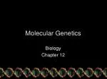PPT - Molecular Genetics Techniques PowerPoint Presentation, free ...