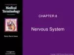 PPT - Nervous System: Injuries , Diseases, Disorders PowerPoint Presentation - ID:2023662