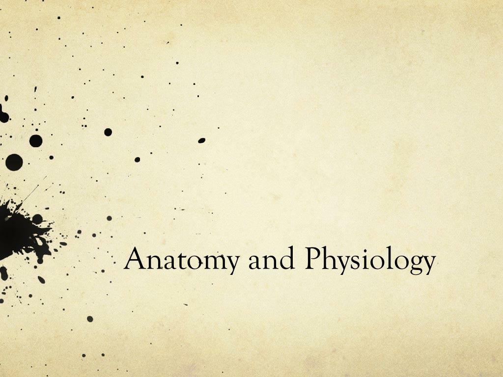PPT - Anatomy and Physiology PowerPoint Presentation, free download ...