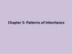 PPT - CHAPTER 9 Patterns of Inheritance PowerPoint Presentation, free download - ID:5241498