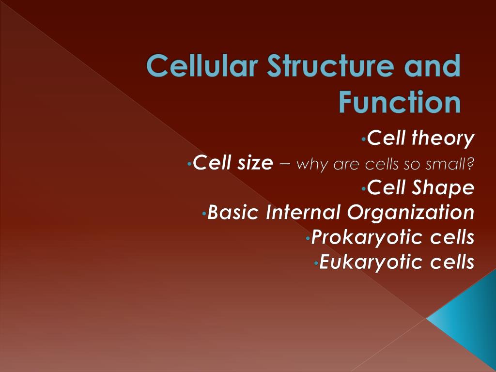 PPT - Cellular Structure and Function PowerPoint Presentation, free ...