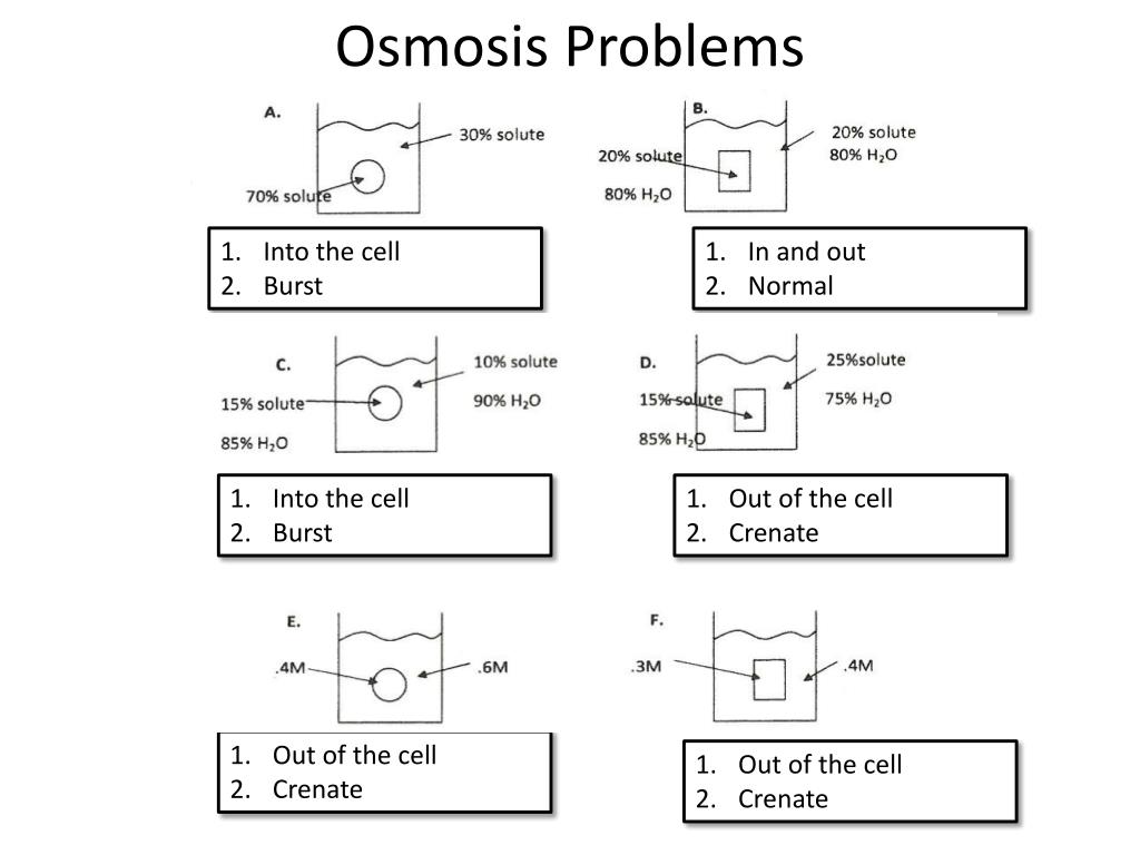 Ppt Osmosis Problems Powerpoint Presentation Free Download Id 2249888