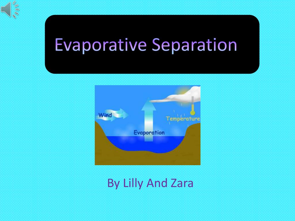 PPT - By Lilly And Zara PowerPoint Presentation, free download - ID:2250195
