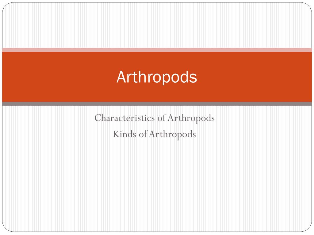 PPT - Arthropods PowerPoint Presentation, free download - ID:2250390