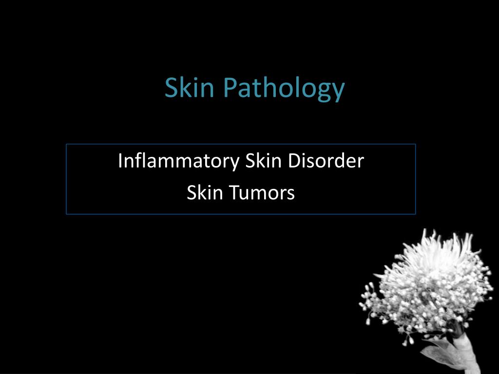 PPT - Skin Pathology PowerPoint Presentation, free download - ID:2251415