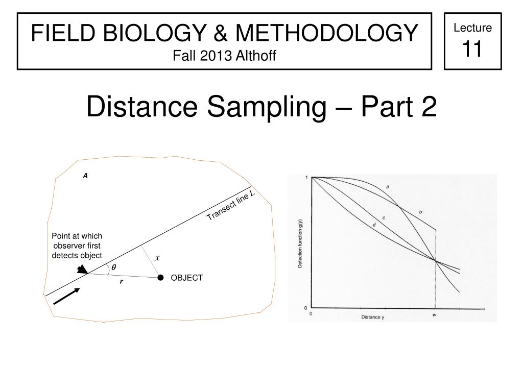 PPT - Distance Sampling – Part 2 PowerPoint Presentation, free download ...