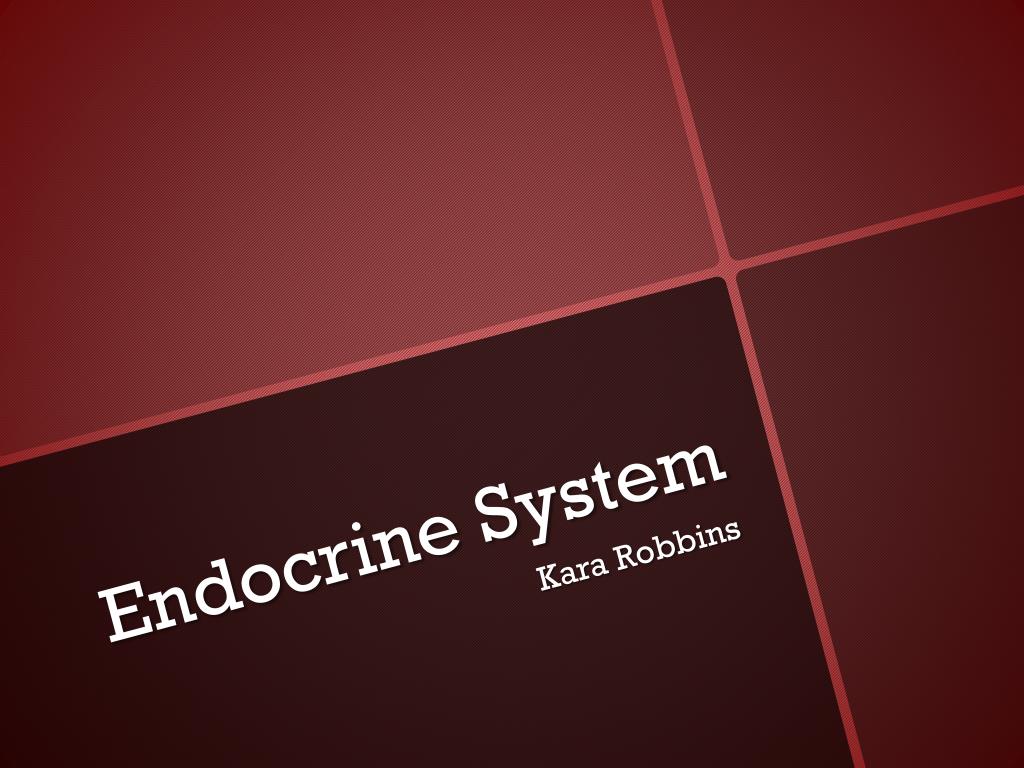 PPT - Endocrine System PowerPoint Presentation, free download - ID:2253201