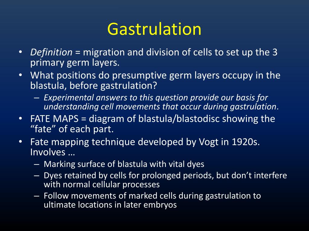 PPT - Gastrulation PowerPoint Presentation, free download - ID:2253380