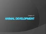 PPT - Animal Development PowerPoint Presentation, free download - ID ...