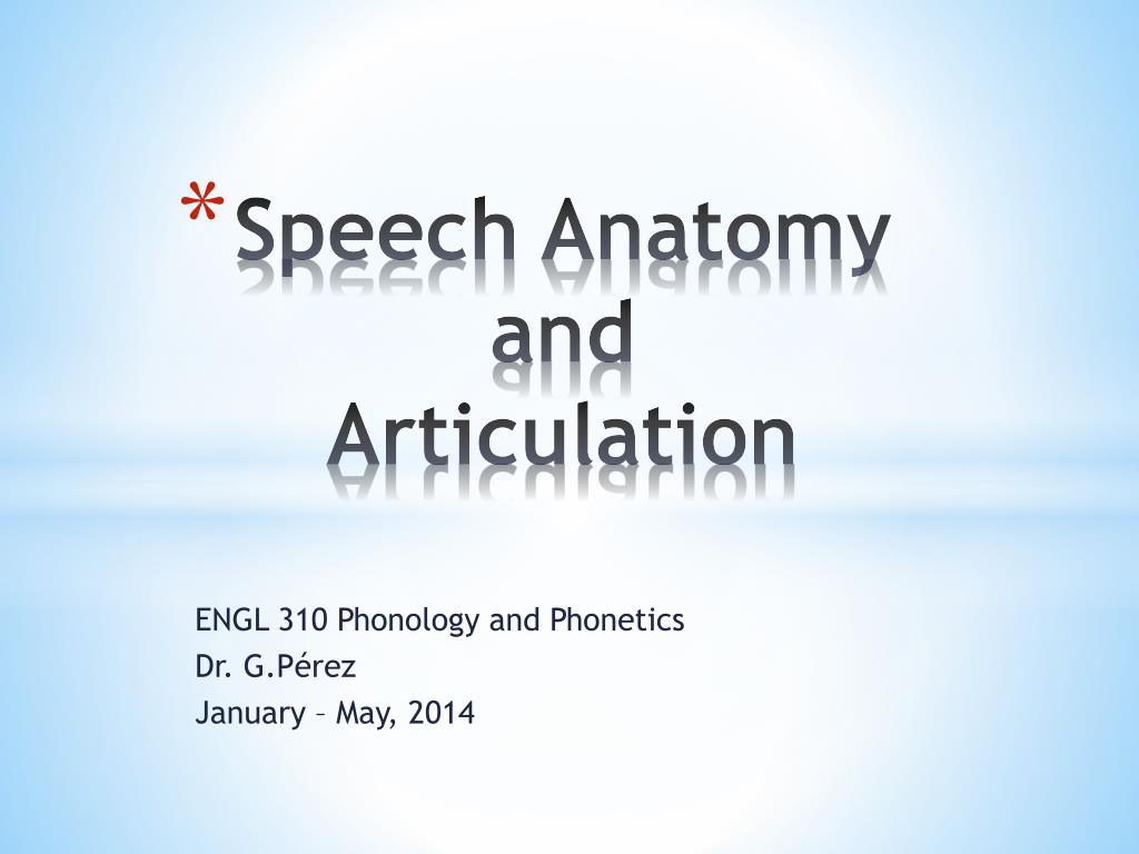 PPT - Speech Anatomy and Articulation PowerPoint Presentation, free ...