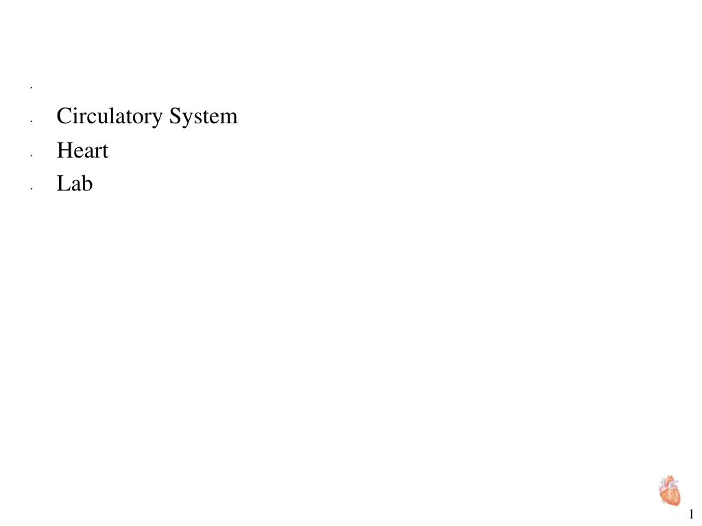 PPT - Circulatory System Heart Lab PowerPoint Presentation, free ...