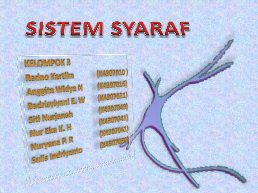 PPT - SISTEM SYARAF PowerPoint Presentation, free download - ID:2255802