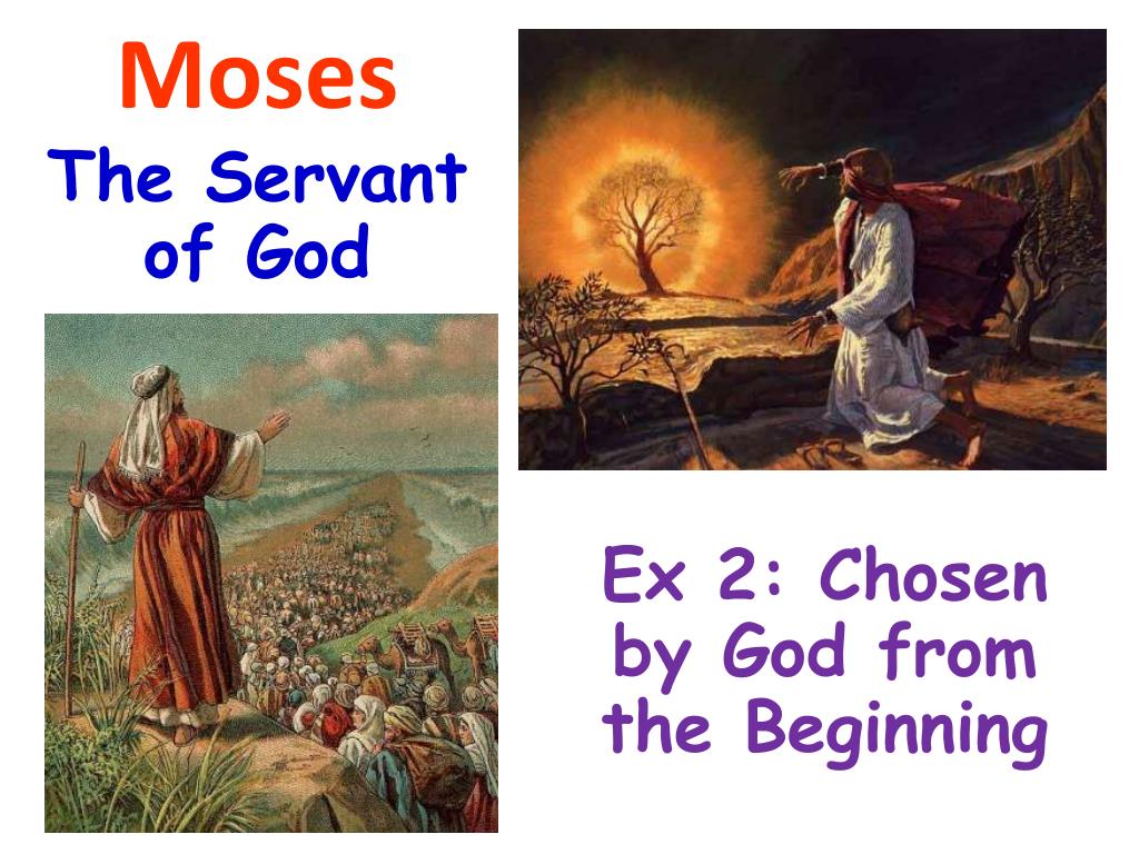 PPT - Moses PowerPoint Presentation, free download - ID:2257099
