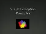 PPT - Principles of Perception PowerPoint Presentation, free download ...