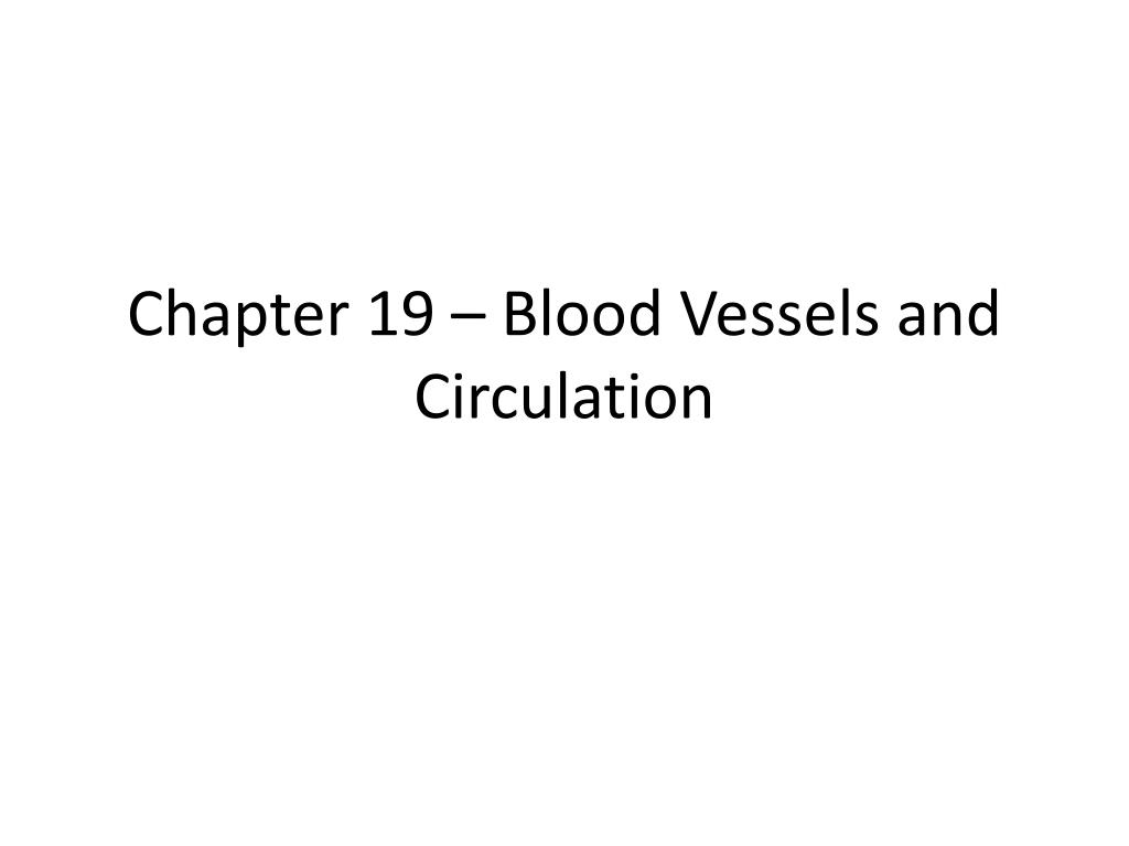 PPT - Chapter 19 – Blood Vessels and Circulation PowerPoint ...