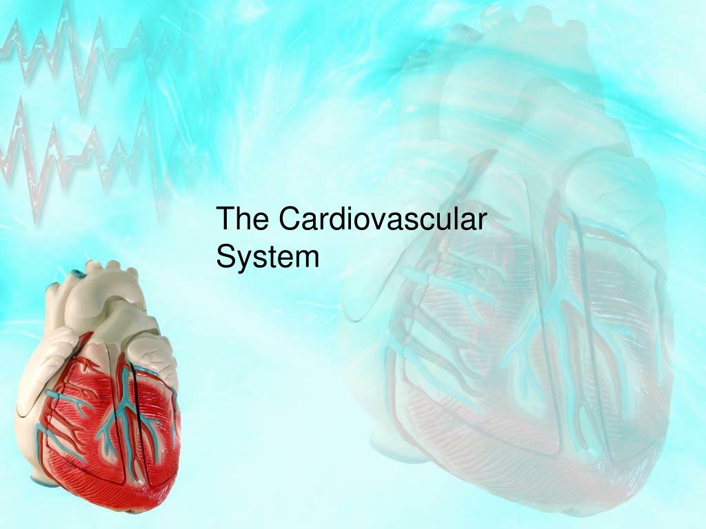 PPT - The Cardiovascular System PowerPoint Presentation, free download ...