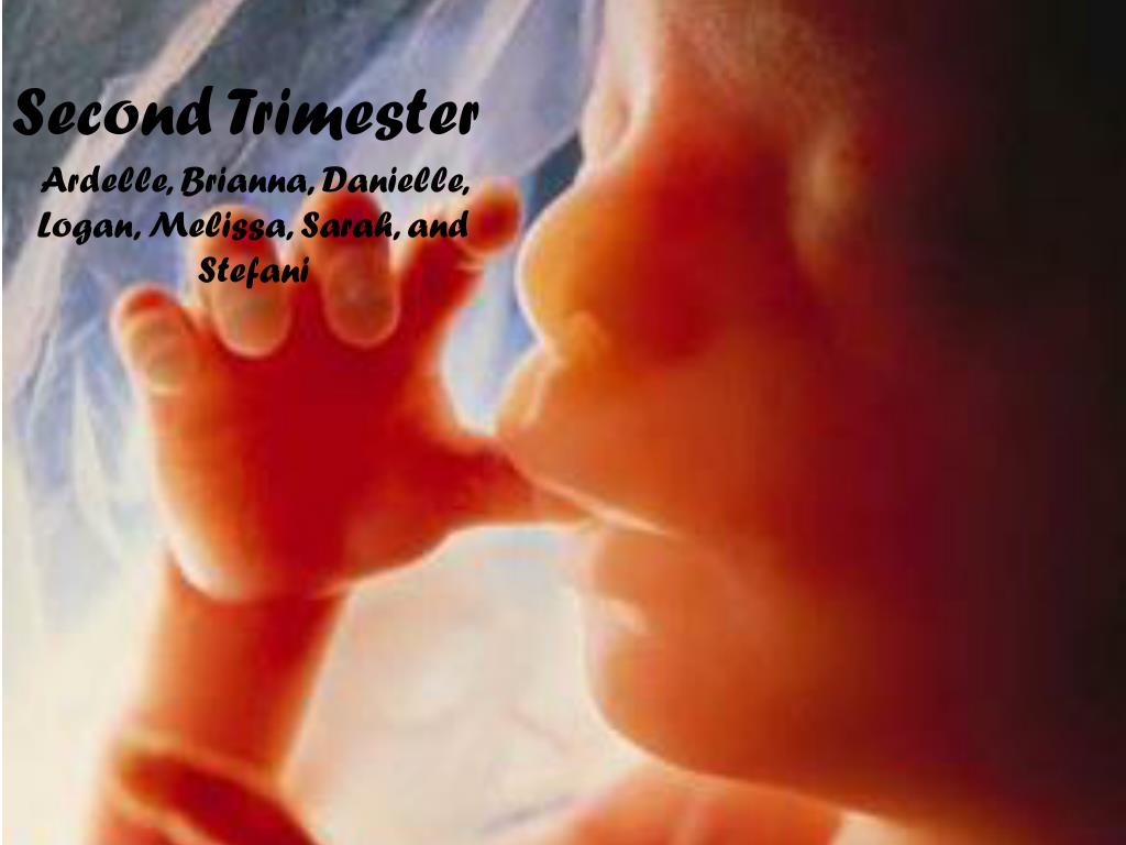 PPT - Second Trimester PowerPoint Presentation, free download - ID:2263931