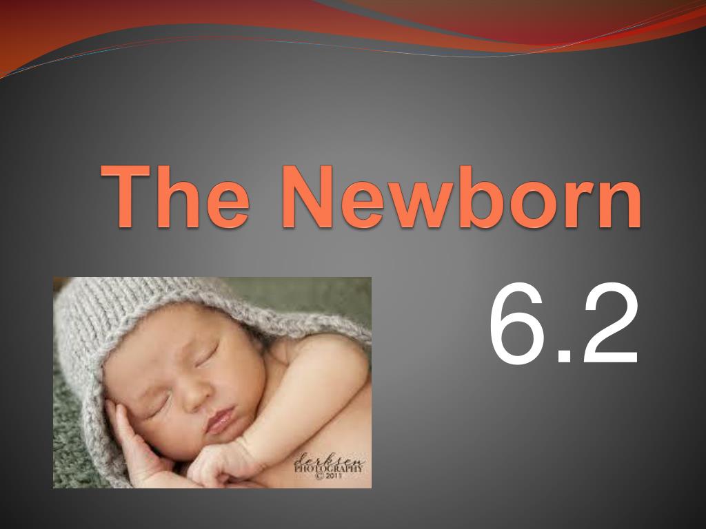 PPT - The Newborn PowerPoint Presentation, free download - ID:2264145