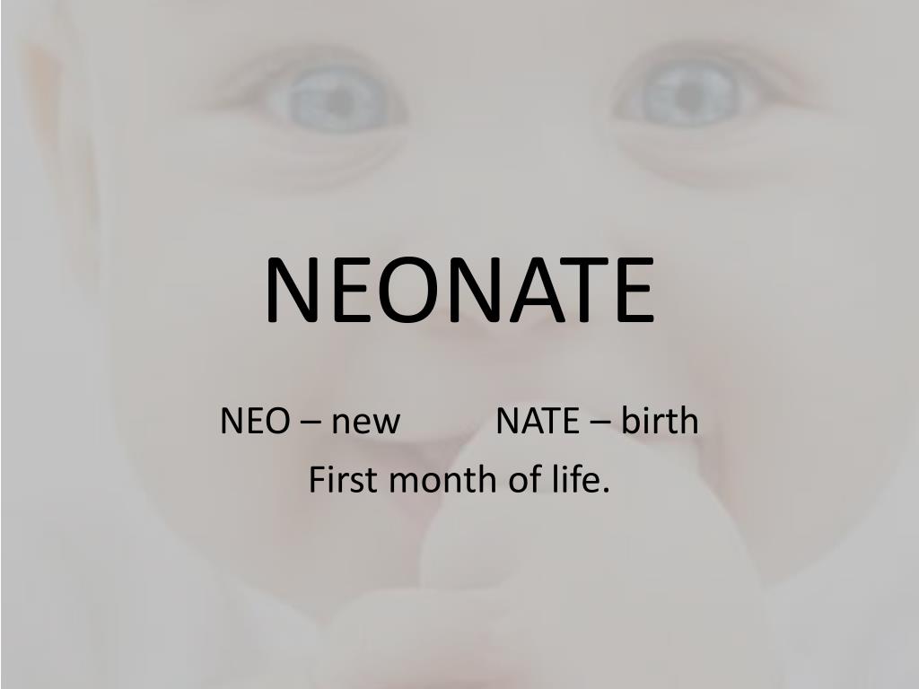 PPT - NEONATE PowerPoint Presentation, free download - ID:2264187