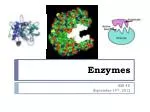 PPT - enzymes PowerPoint Presentation, free download - ID:5448536