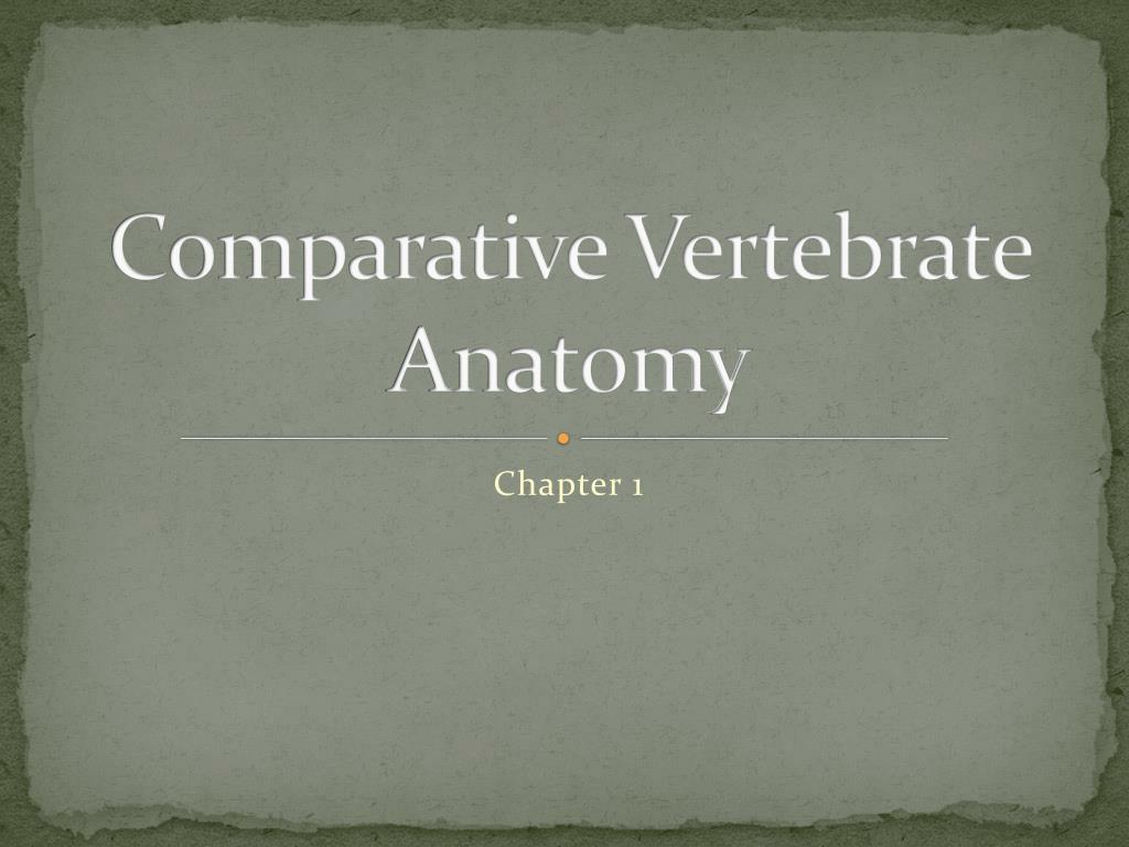 PPT - Comparative Vertebrate Anatomy PowerPoint Presentation, free ...