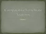 PPT - Comparative Anatomy Integument PowerPoint Presentation, free ...