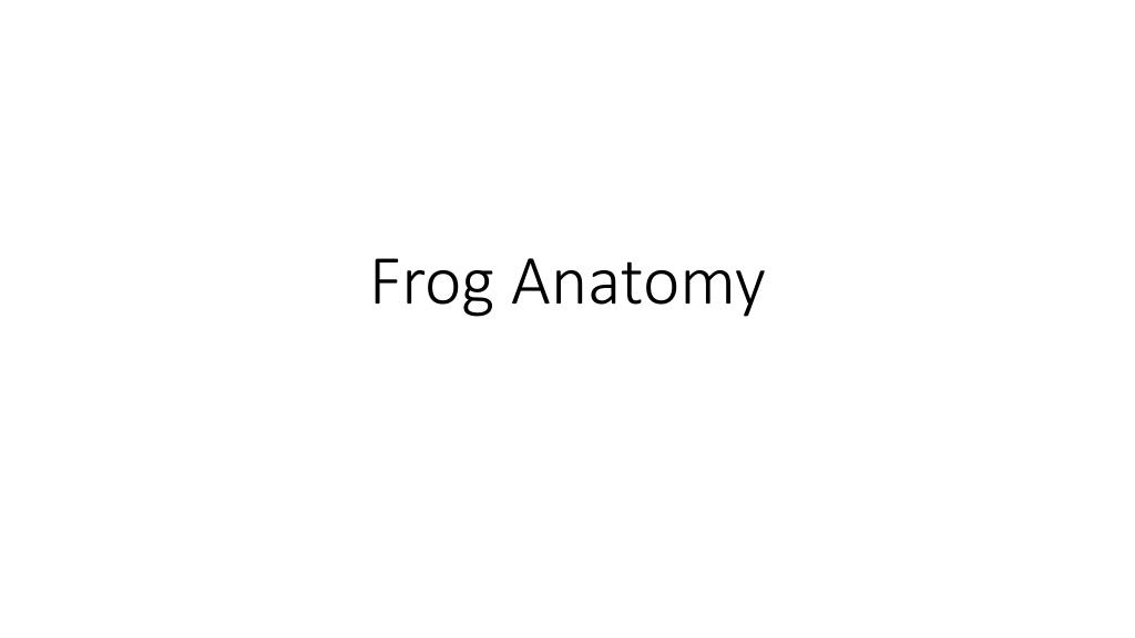 PPT - Frog Anatomy PowerPoint Presentation, free download - ID:2267120